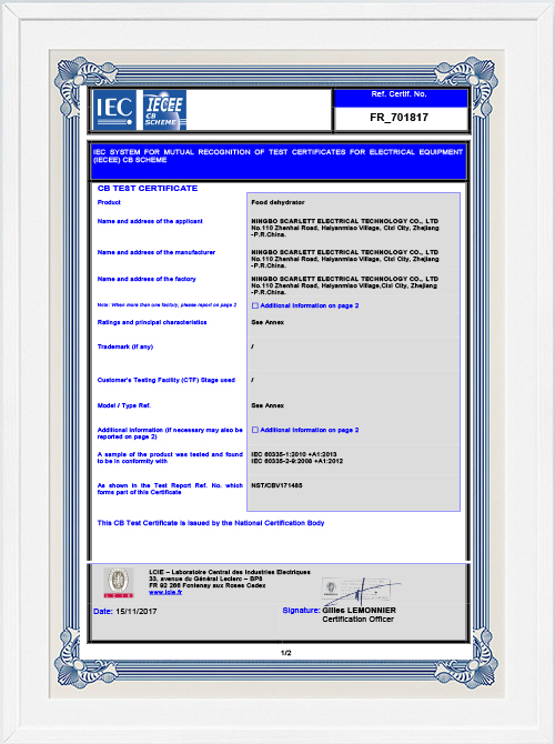 Small Kitchen Appliances Manufacturer | SUNSIR